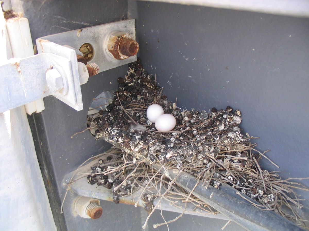 Rotating Bridge Scraper - Clarification Equipment - Vortex Engineering